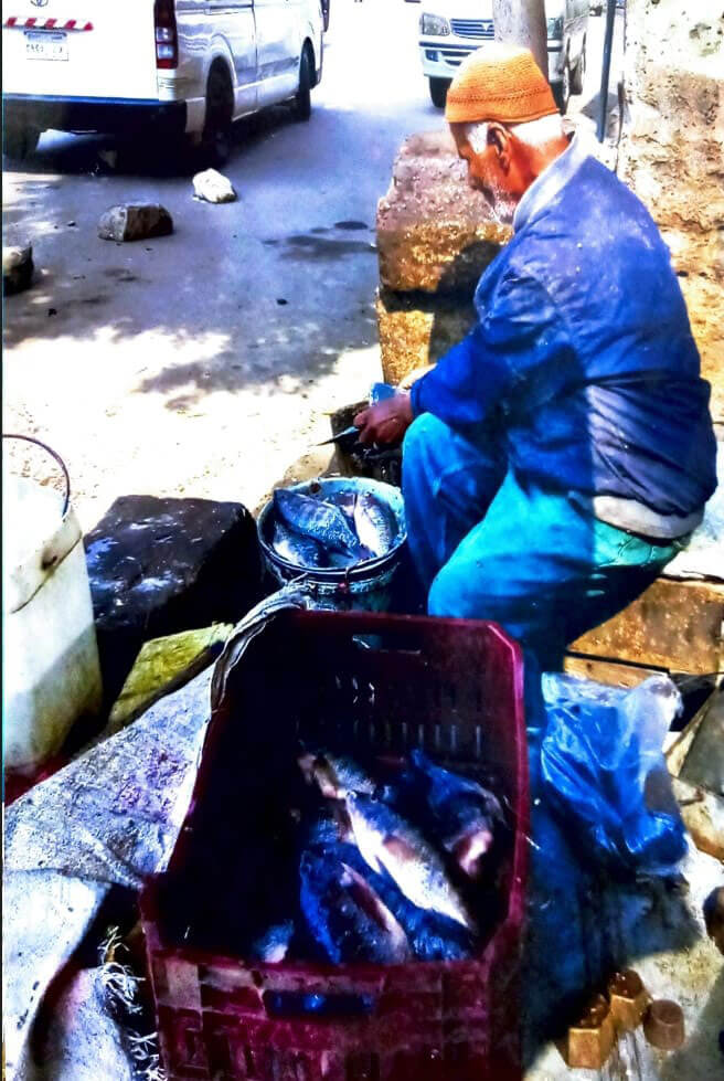 Rare Aware Art Share Portfolio 2024 - Prader-Willi Syndrome Association ...